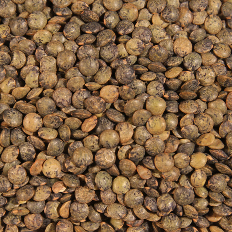 Lentils - Northern Gate Canada